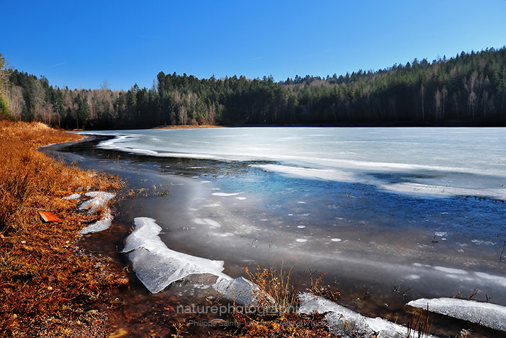 Le Lac de Pierre-Percée - Vosges - Lorraine