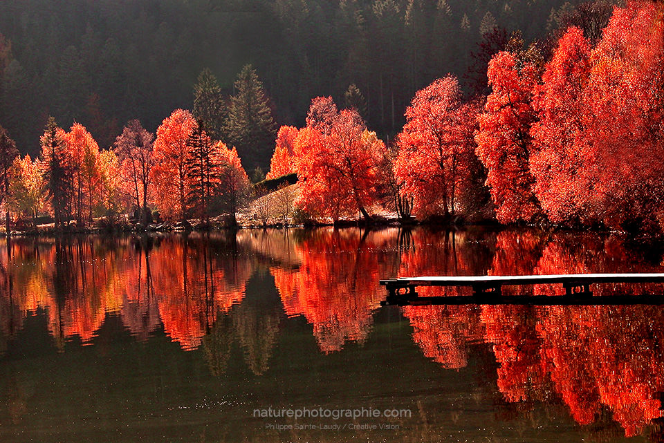 Le guide complet de la photo d'automne.
