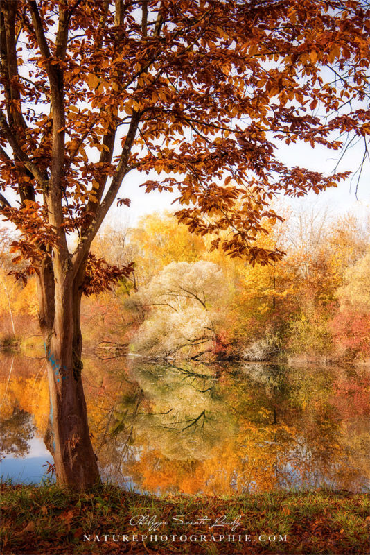 Une belle journée d'automne pour faire de la photo