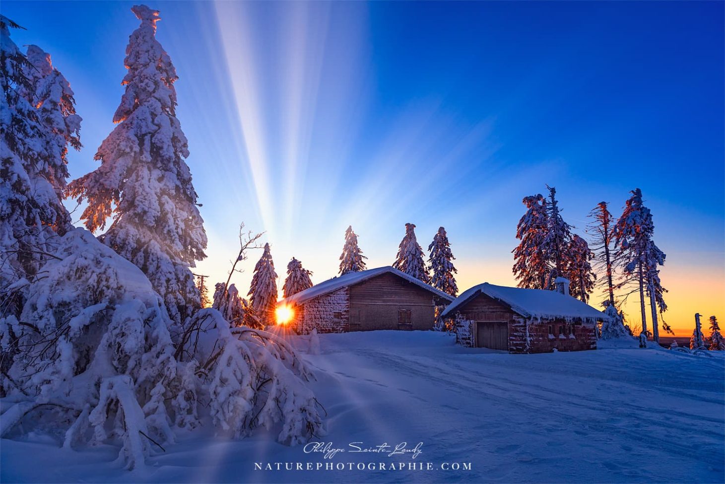 LES PLUS BELLES PHOTOS DE NATURE PHOTOGRAPHIE LES PLUS BELLES PHOTOS DE NATURE PHOTOGRAPHIE
