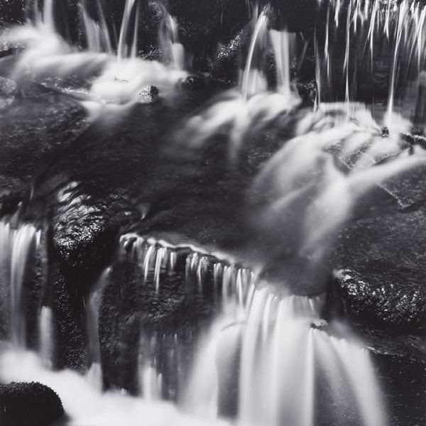 Ansel Adams - photographe de légende (20/02/1902 – 22/04/1984)