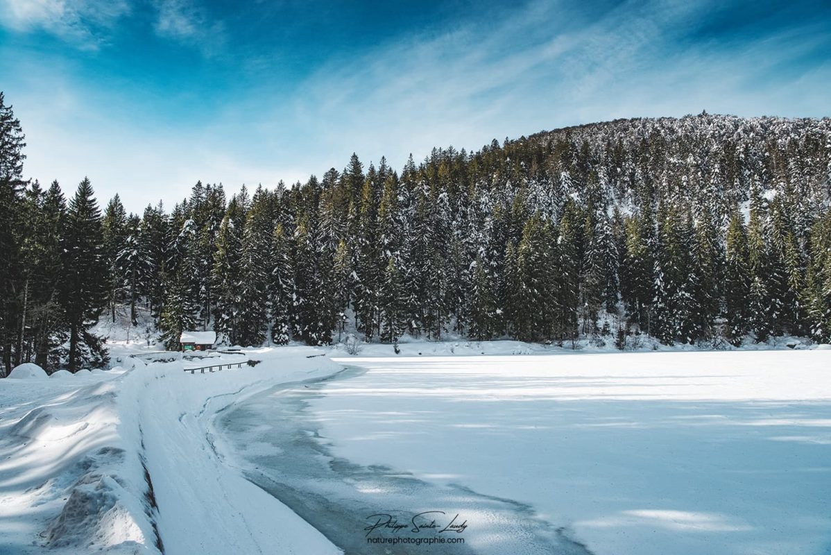 Le Lac Vert en hiver . Article et photos de ce lac Vosgien.