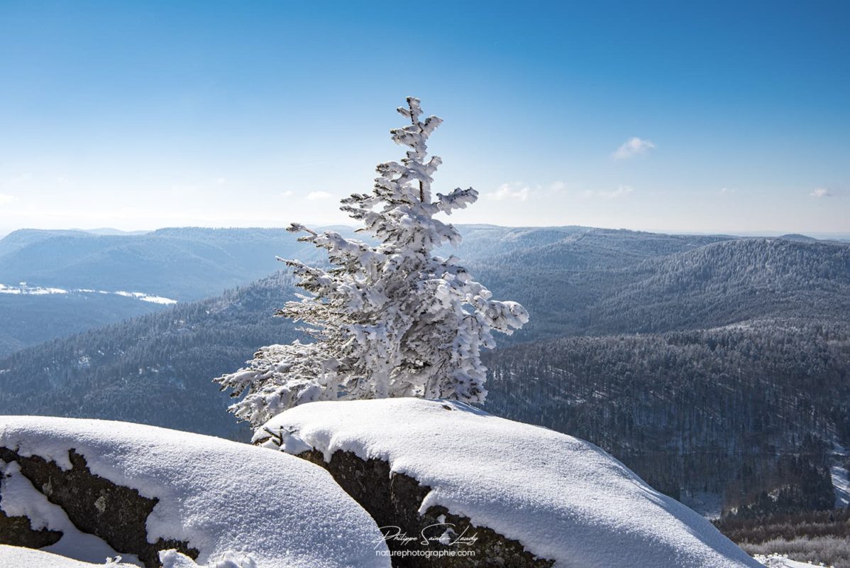 Randonnée au col du Donon - C'est encore plus beau en hiver