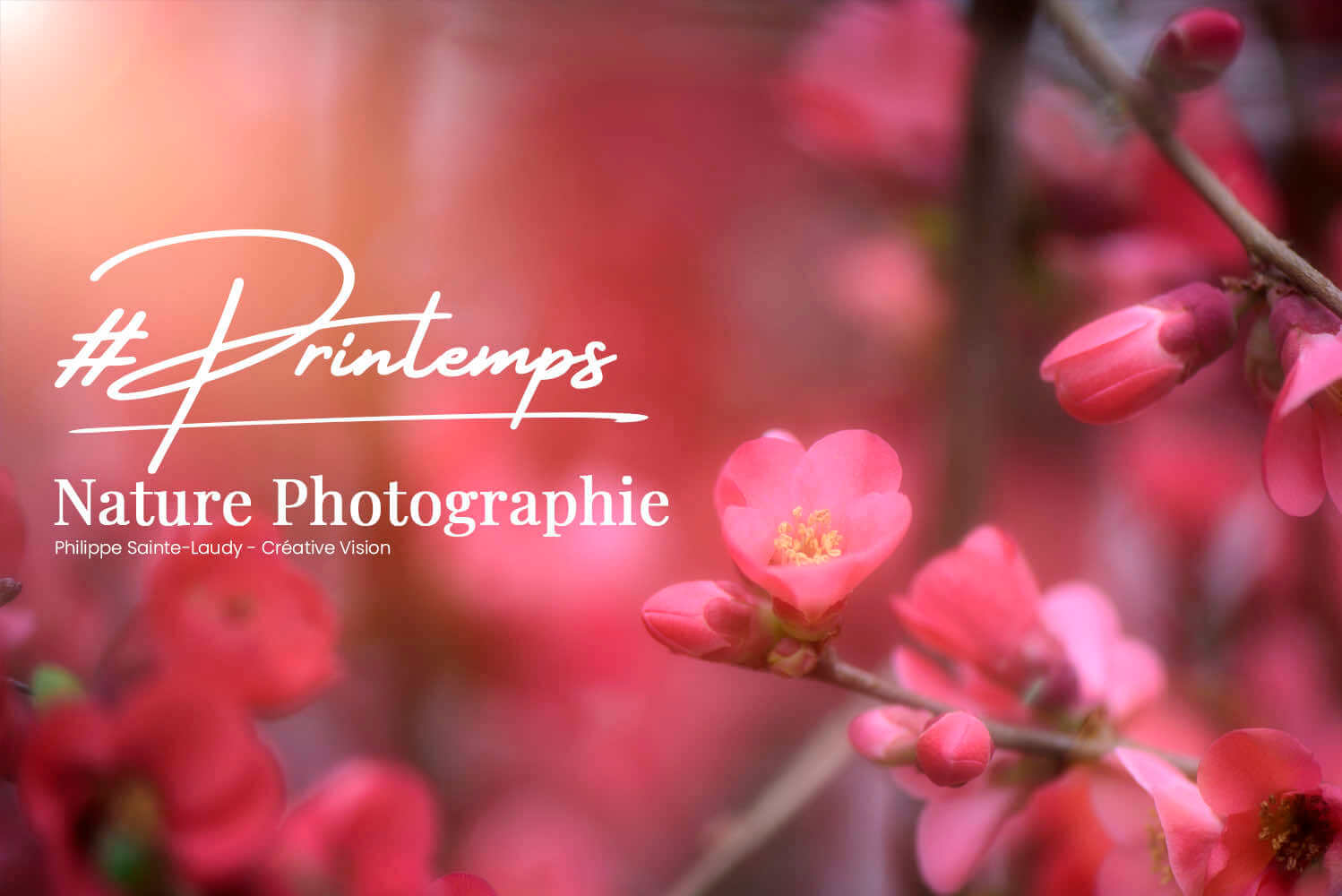 Premières couleurs du printemps