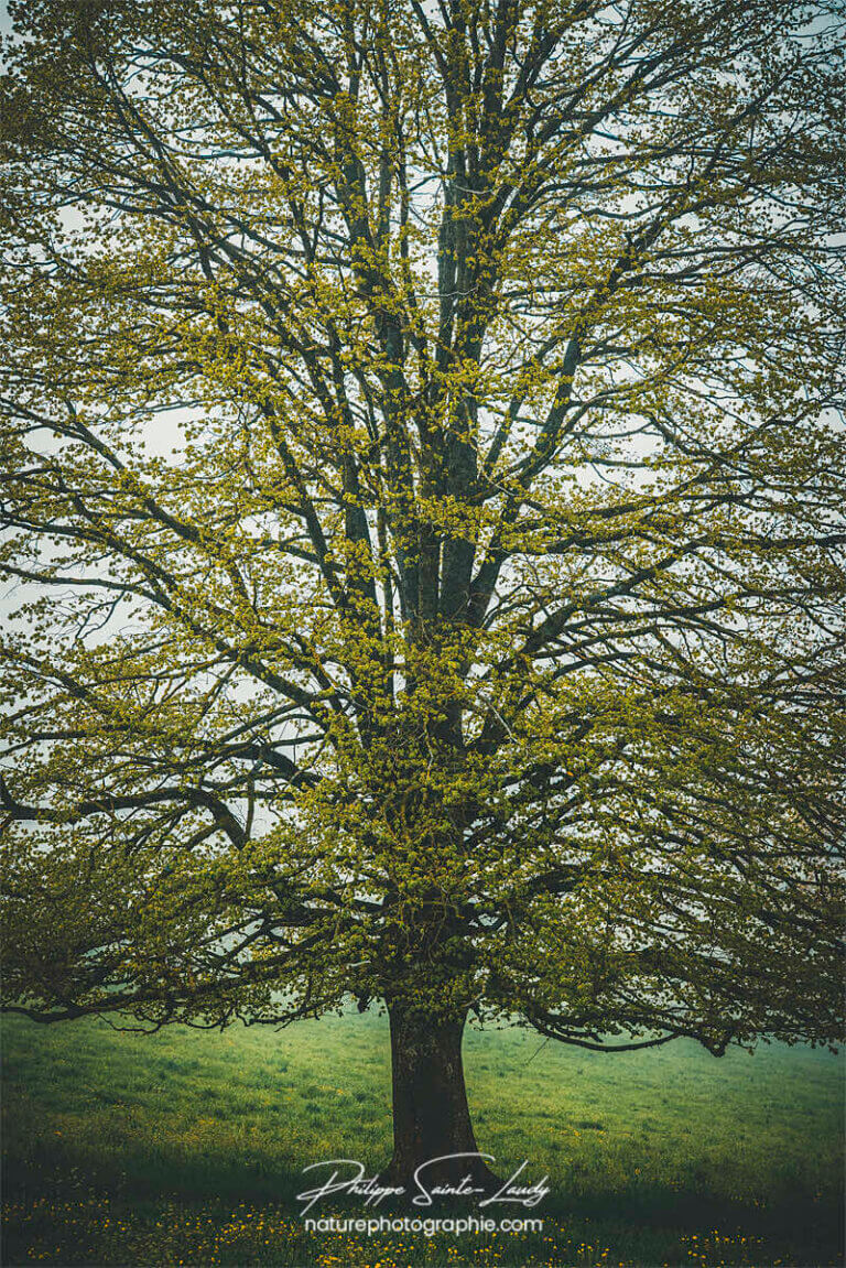 Les Monts du Lyonnais - Photographie de paysages.