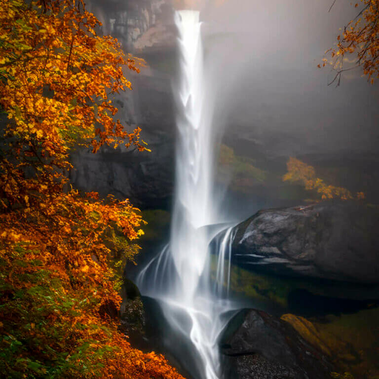 #IA Collection – Cascades